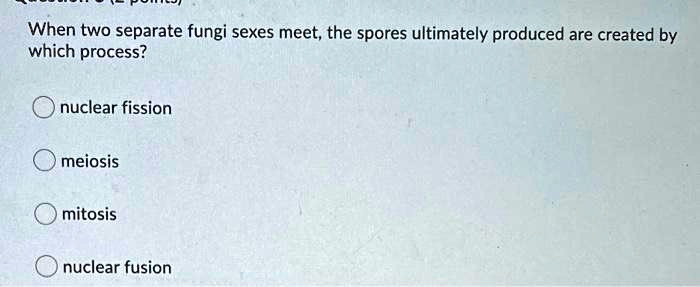 SOLVED: When two separate fungi sexes meet; the spores ultimately ...