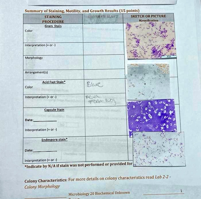 summary of staining motility and growth results 15 points staining ...