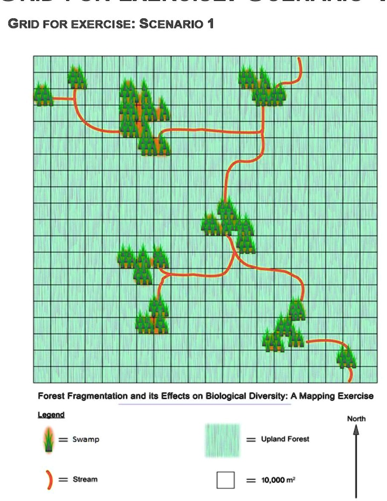 SOLVED: GRID FOR EXERCISE: SCENARIO 1 Forest Fragmentation and its ...