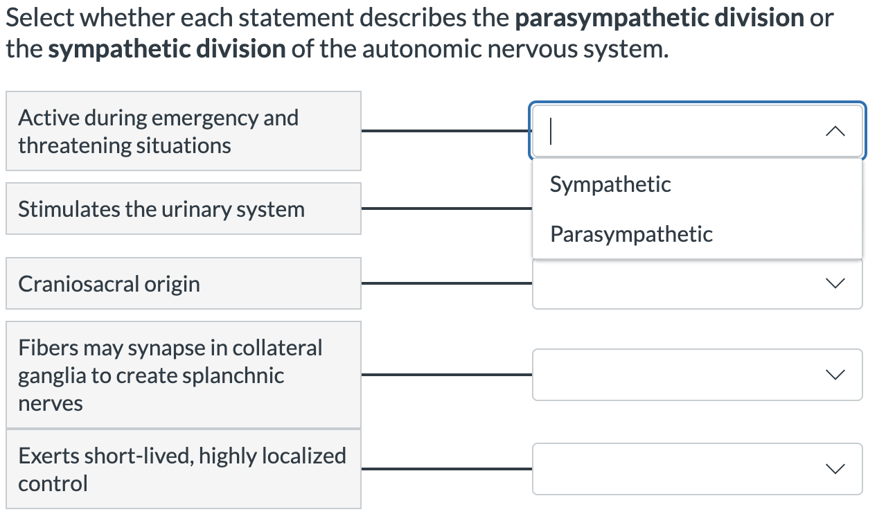 Select whether each statement describes the parasympathetic division or ...
