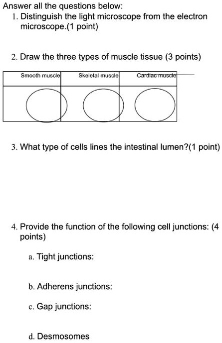 Answer all the questions below: 1. Distinguish the light microscope ...