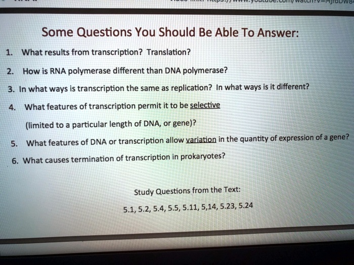 SOLVED: Some Questions You Should Be Able To Answer: What results from transcription ...