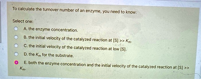 SOLVED: calculate the turnover number of an enzyme you need to know ...