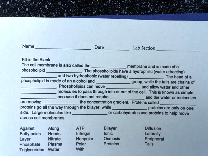 Name Date Lab Section Fill in the Blank The cell membrane is also ...