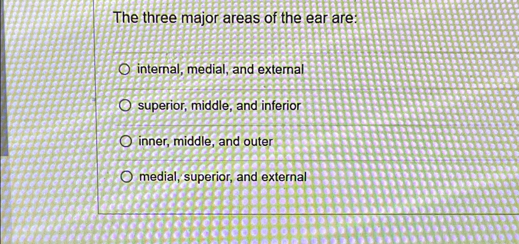 SOLVED: The three major areas of the ear are: internal, medial, and ...