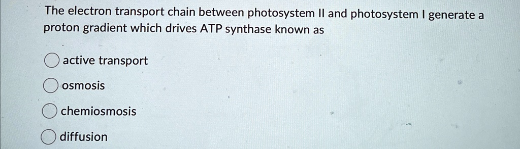 the electron transport chain between photosystem ii and photosystem i generate a proton gradient ...