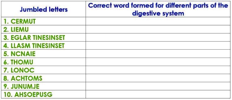 SOLVED: 'Arrange the jumbled letters to form the different parts of the ...