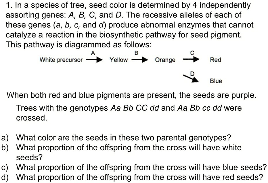 SOLVED: 1. In a species of tree, seed color is determined by 4 ...