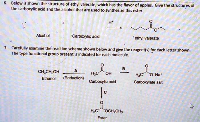 SOLVED: Below is shown the structure of ethyl valerate; which has the ...