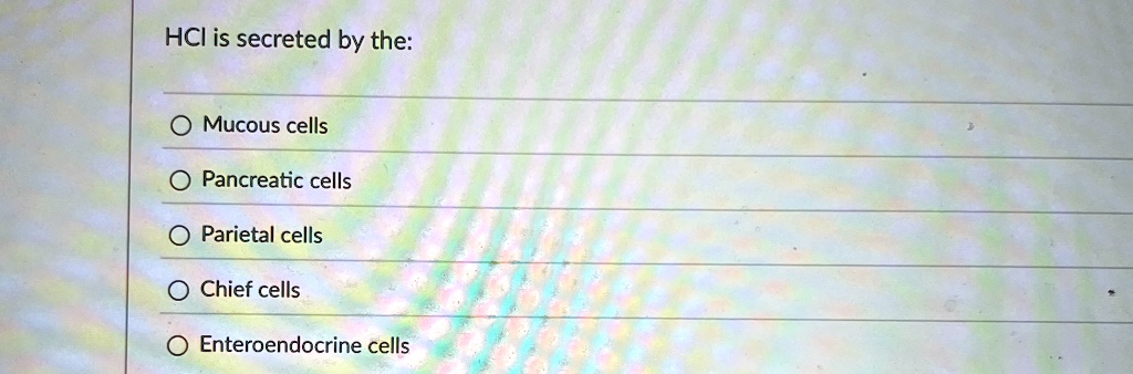 hcl is secreted by the mucous cells pancreatic cells parietal cells chief cells enteroendocrine ...
