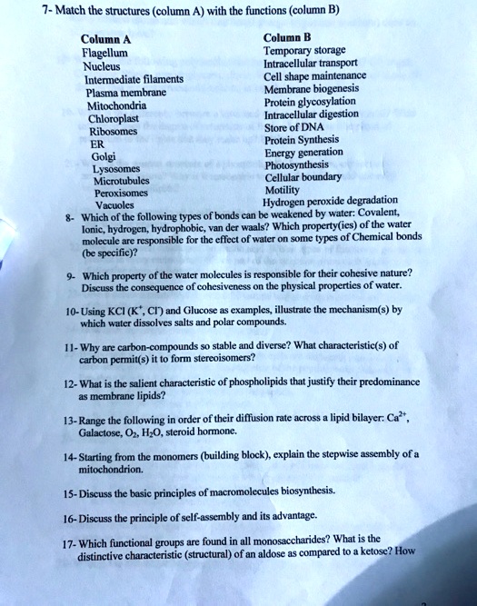 7 match the structures column a with the functions column b column flagellum nucleus ...