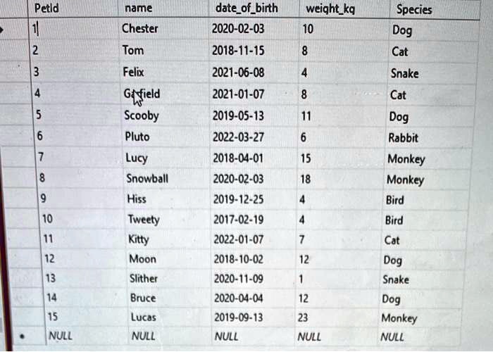 SOLVED: Create a stored procedure based on the following data that will ...