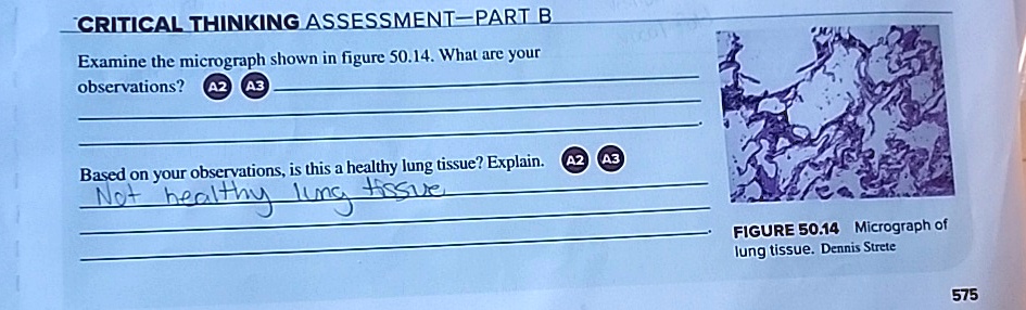 critical thinking assessment part b examine the micrograph shown in ...