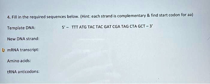 SOLVED:4. Fill in the required sequences below: (Hint: each strand is ...