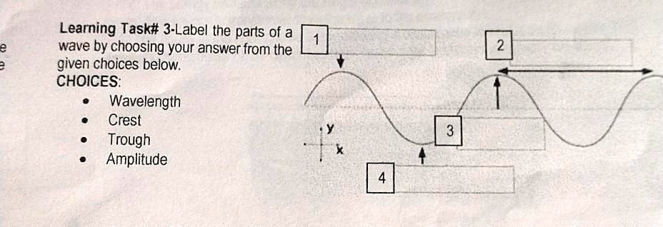 SOLVED: 'label the parts of a wave by choosing your answer from the ...