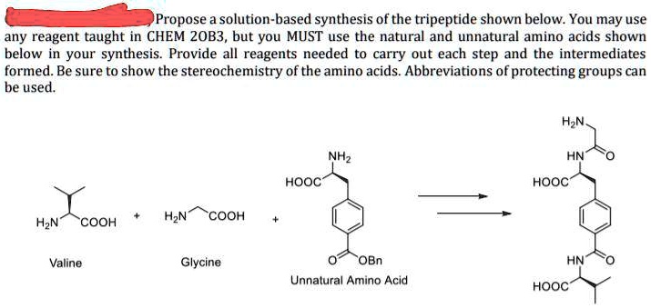 SOLVED:Propose a solution-based synthesis of the tripeptide shown below ...