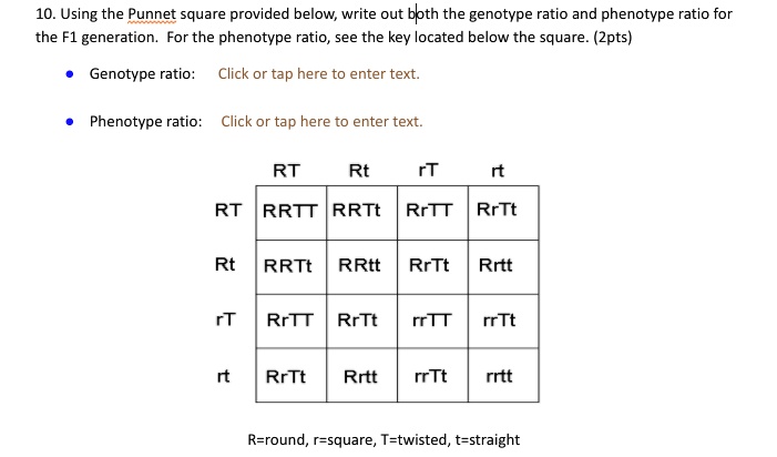 10 using the punnet square provided below write out bpth the genotype ...