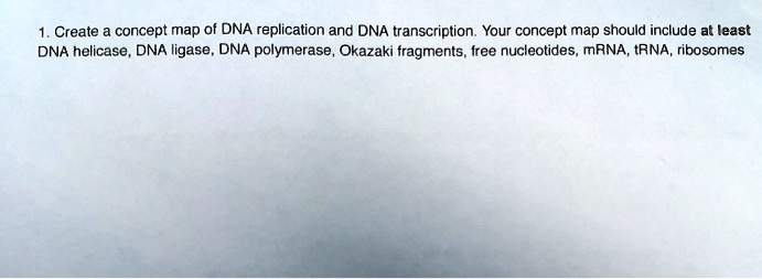 1. Create a concept map of DNA replication and DNA transcription. Your ...