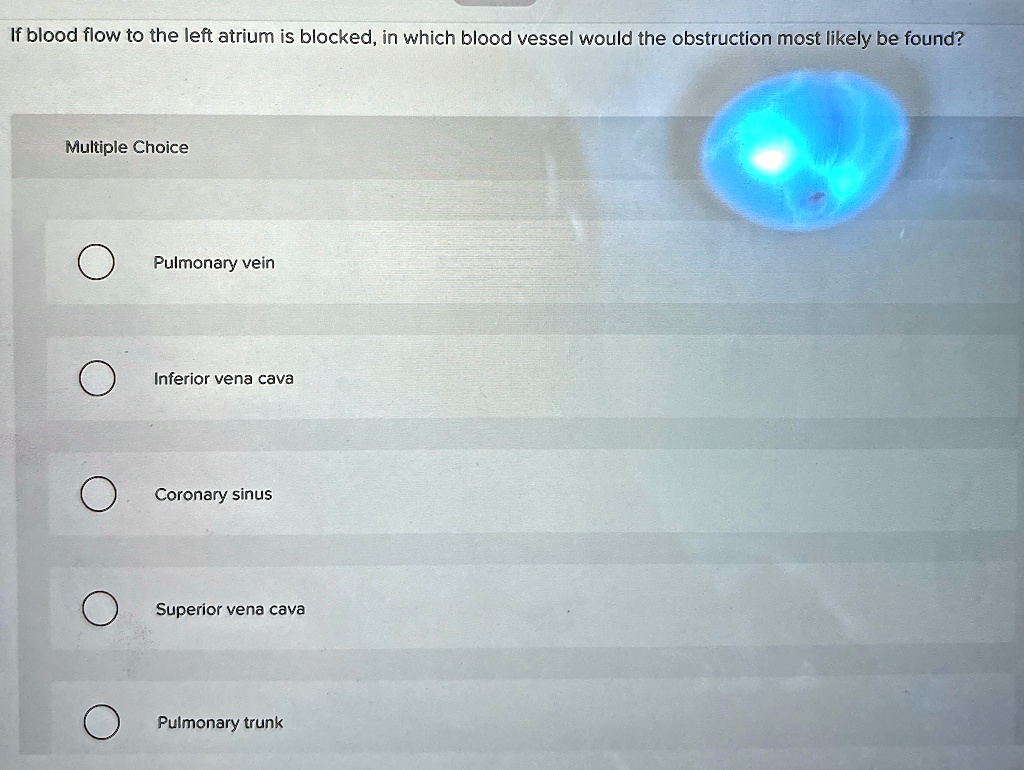 If blood flow to the left atrium is blocked, in which blood vessel ...