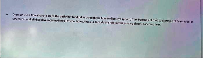 Draw or use a flow chart to trace the path that food takes through the ...
