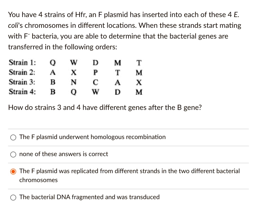 SOLVED: You have 4 strains of Hfr, an F plasmid has inserted into each ...