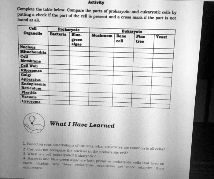 Solved Text Activity Complete The Table Below Compare The Parts Of Prokaryotic And Eukaryotic