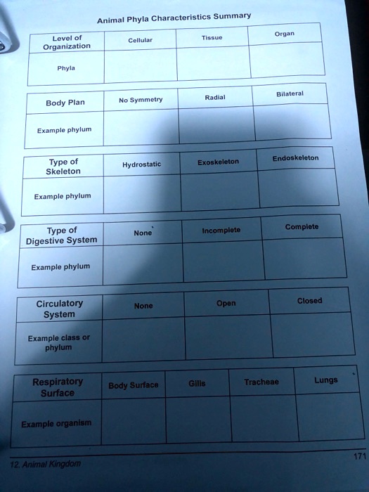 SOLVED: Animal Phyla Characteristics Summary Oruan Tlsuc Cellular Level ...