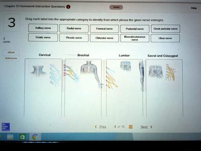Chapter 13 Homework Interactive Questions 3 2 points Saved Drag each ...