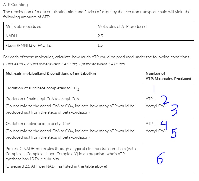 SOLVED: ATP Counting The reoxidation of reduced nicotinamide and flavin ...