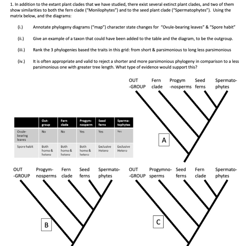 SOLVED: In addition to the extant plant clades that we have studied ...