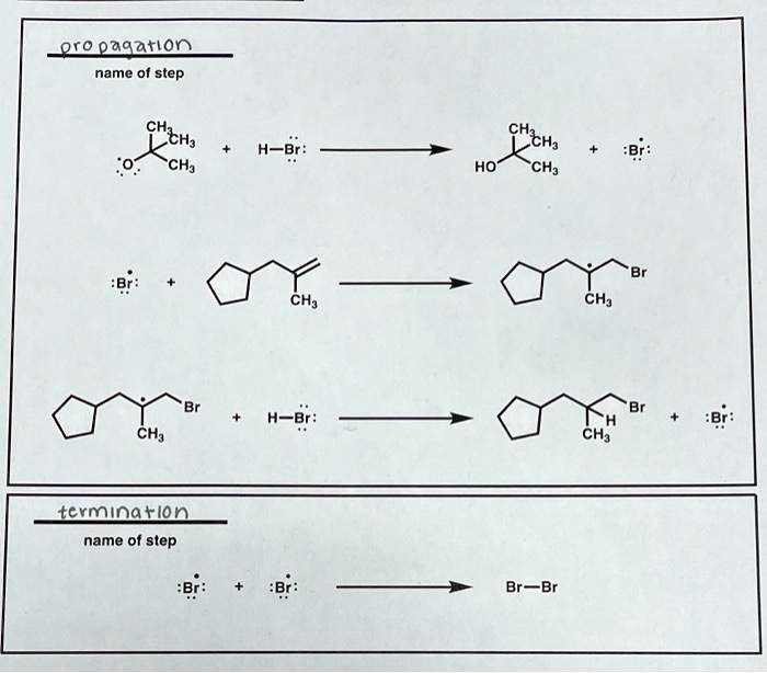 SOLVED: a- Provide the name for each step in this radical reaction ...