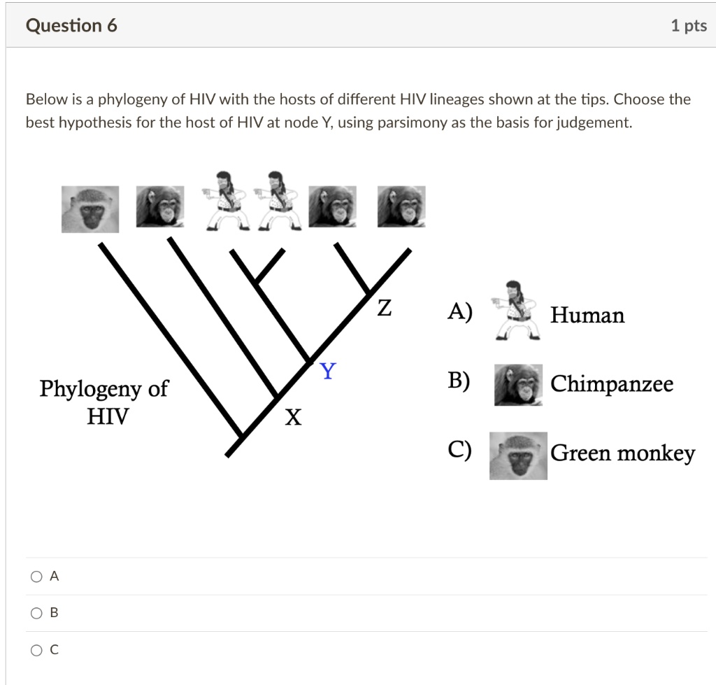 Question 6 1 pts Below is a phylogeny of HIV with the hosts of ...