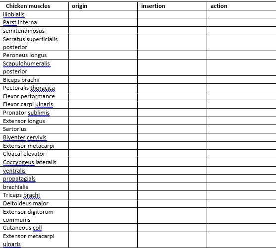 Determine the origin, insertion, and action of the following avian ...
