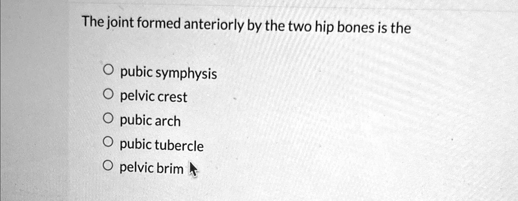 The joint formed anteriorly by the two hip bones is the pubic symphysis ...