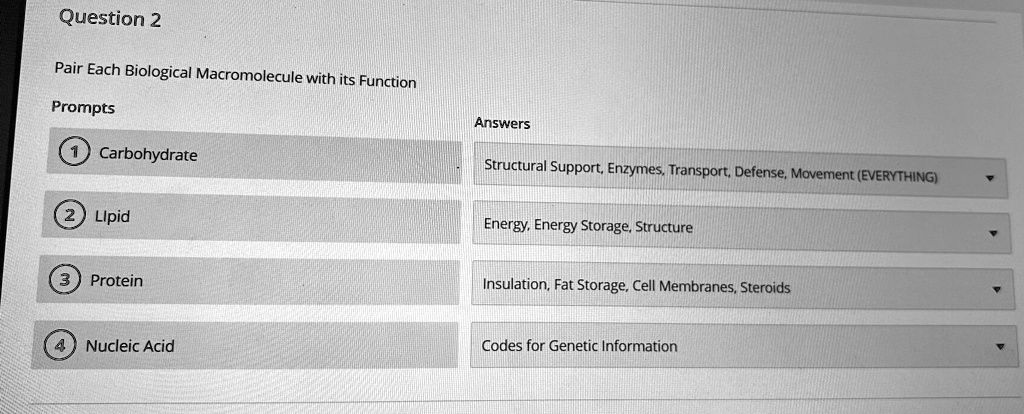 SOLVED: Question 2 Pair Each Biological Macromolecule with its Function ...