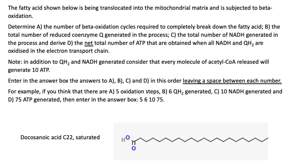 SOLVED: The fatty acid shown below is being translocated into the ...