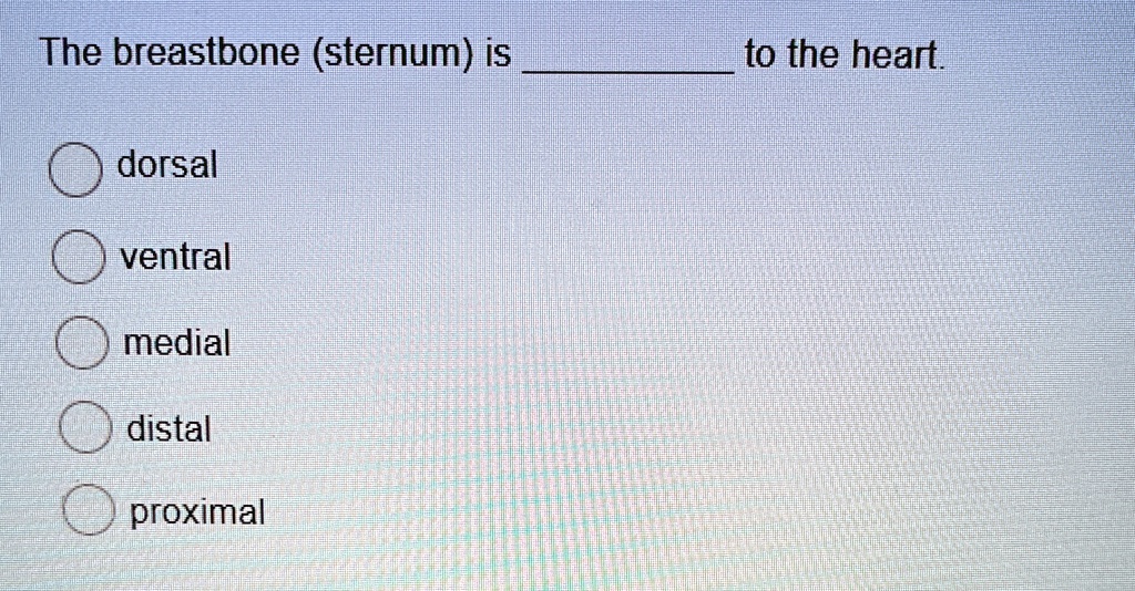 The breastbone (sternum) is to the heart. dorsal ventral medial distal ...