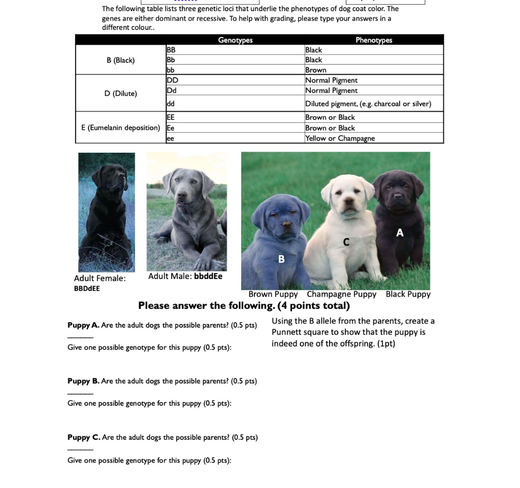 SOLVED: The following table lists three genetic loci that underlie the ...