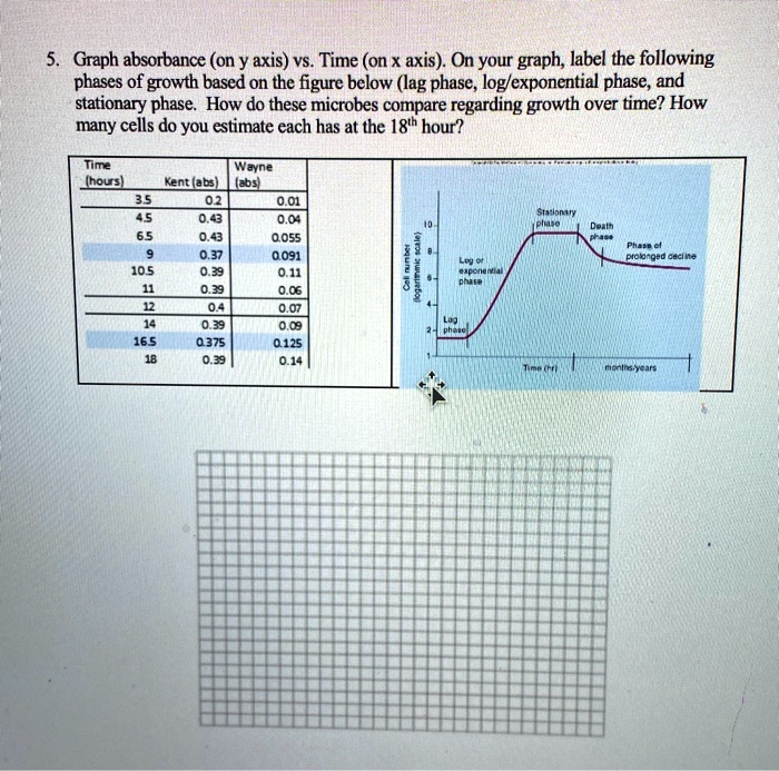 graph absorbance on y axis vs time on x axis on your graph label the following phases of growth ...