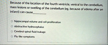Because of the location of the fourth ventricle ventral to...