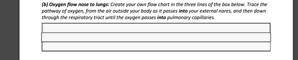 (b) Oxygen flow nose to lungs: Create your own flow chart in the three ...