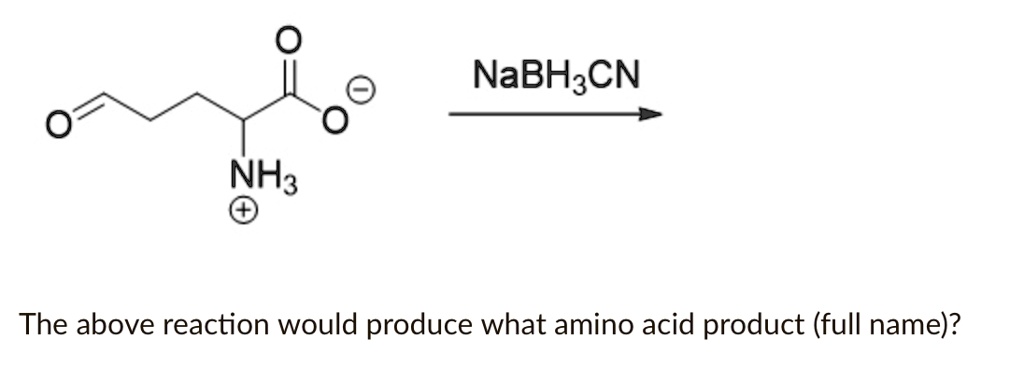 SOLVED: NaBH3CN NH3 The above reaction would produce what amino acid ...