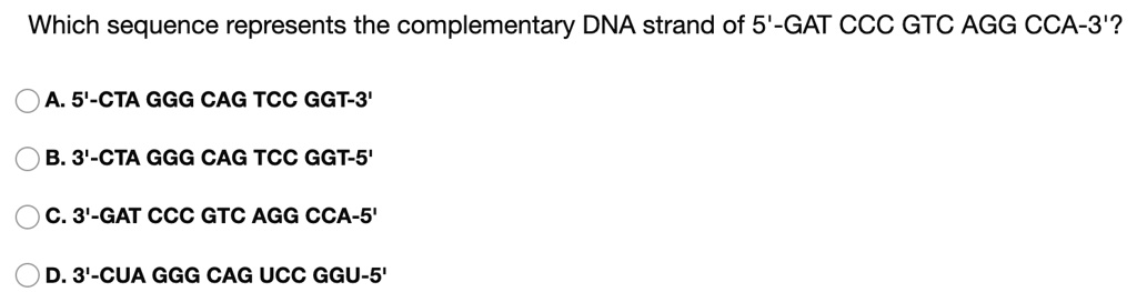SOLVED: Which sequence represents the complementary DNA strand of 5 ...