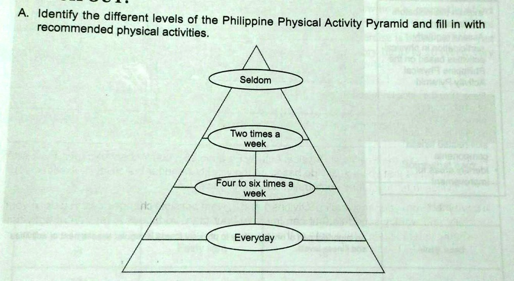 SOLVED: A. Identify the different levels of the Philippine Physical ...