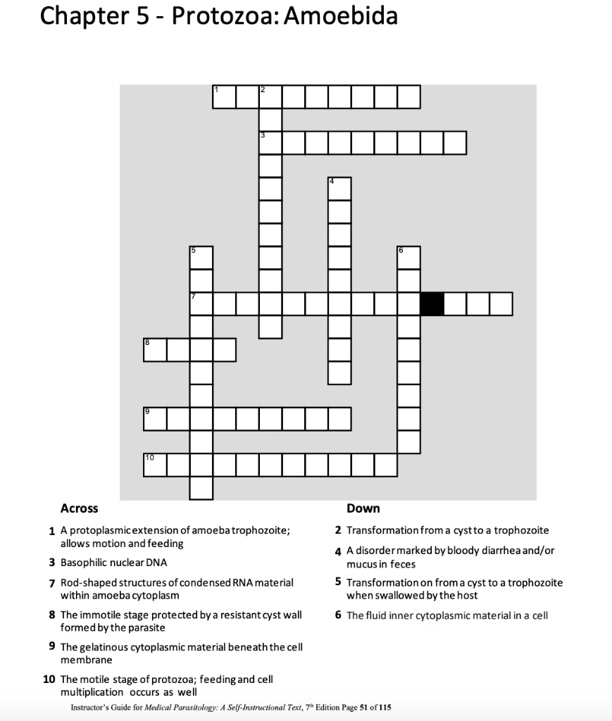 chapter 5 protozoa amoebida across down a protoplasmicextension of ...