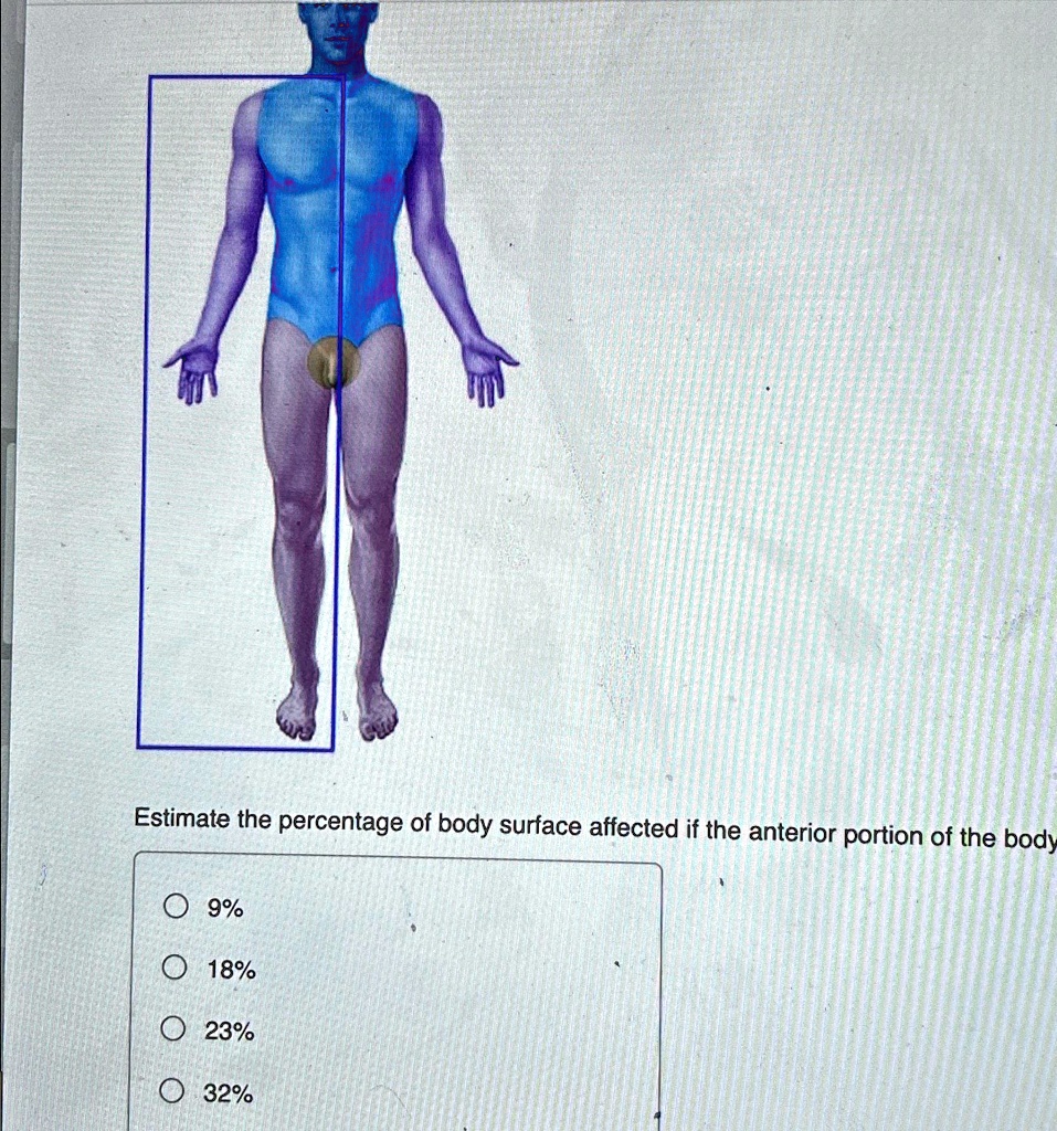 estimate the percentage of body surface affected if the anterior ...