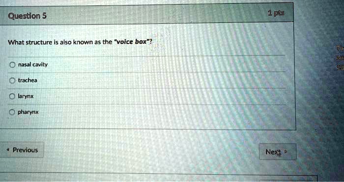 What structure is also known as the "voice box"? nasal cavity trachea ...
