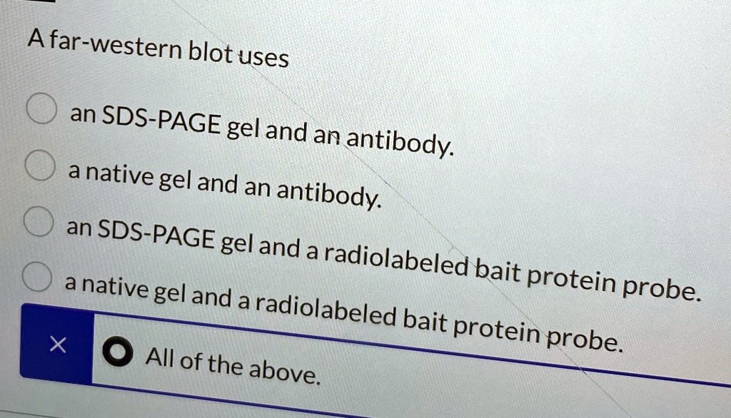 A far-western blot uses an SDS-PAGE gel and an antibody. a native gel ...