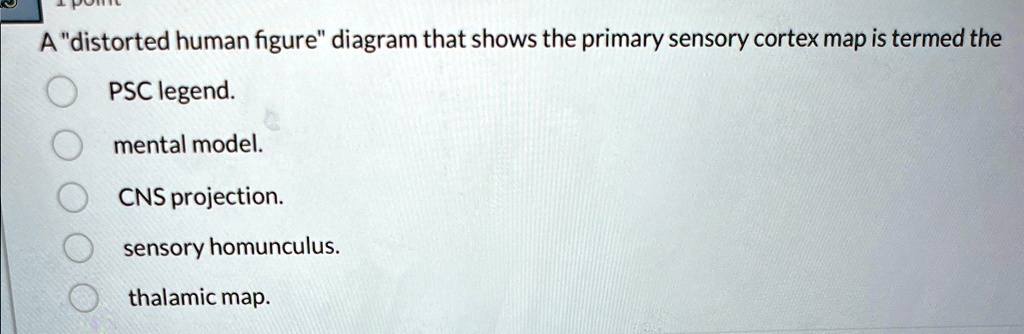A "distorted human figure" diagram that shows the primary sensory ...