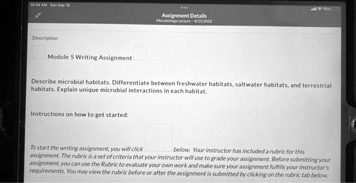 SOLVED: T0.44 AM Sun Sep TB ... Assignment Details Description Module 5 ... SOLVED: T0.44 AM Sun Sep TB ... Assignment Details Description Module 5 ...